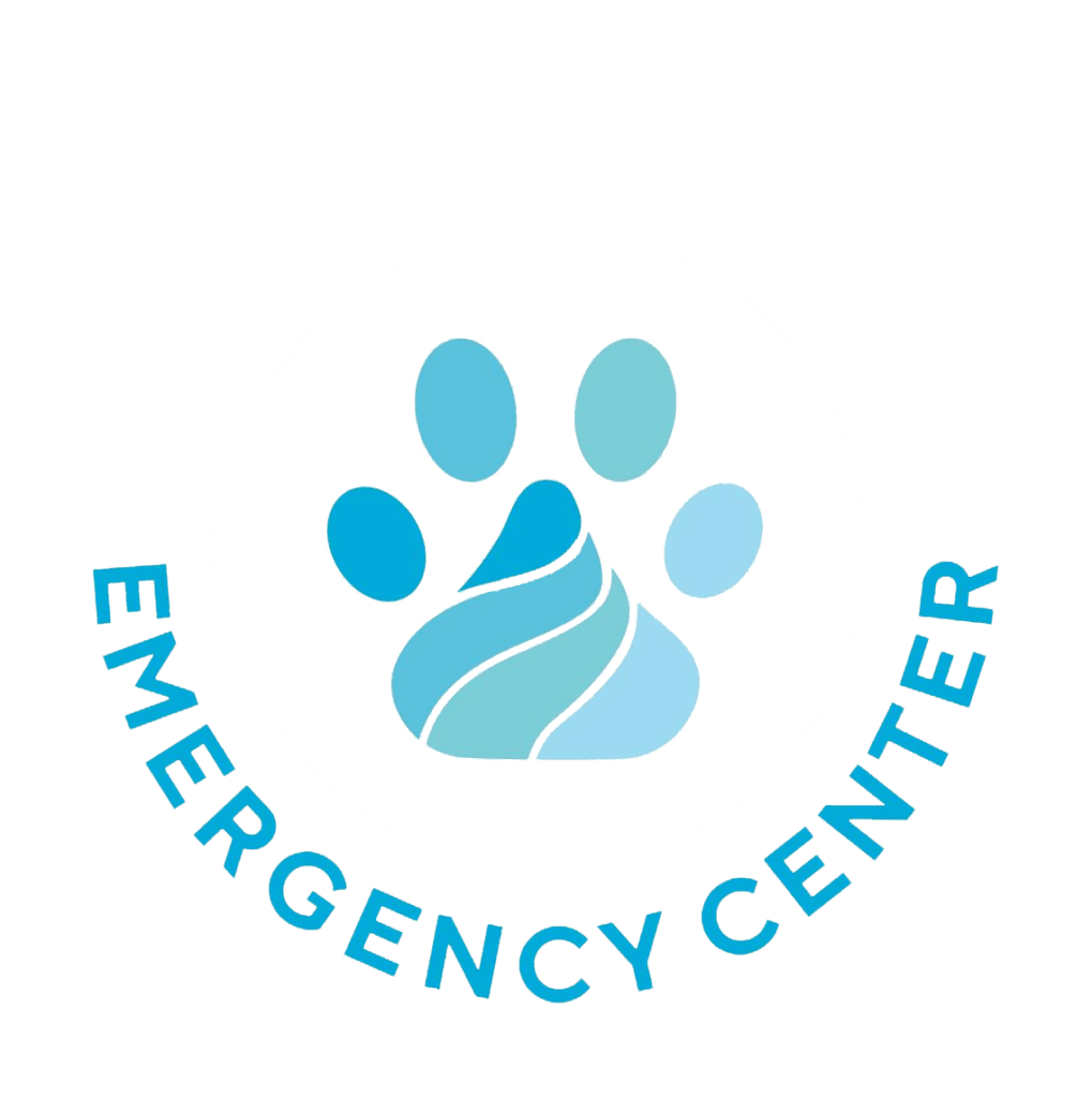 Veterinarians and Animal Hospital in in Hershey, PA | Hershey Animal ...